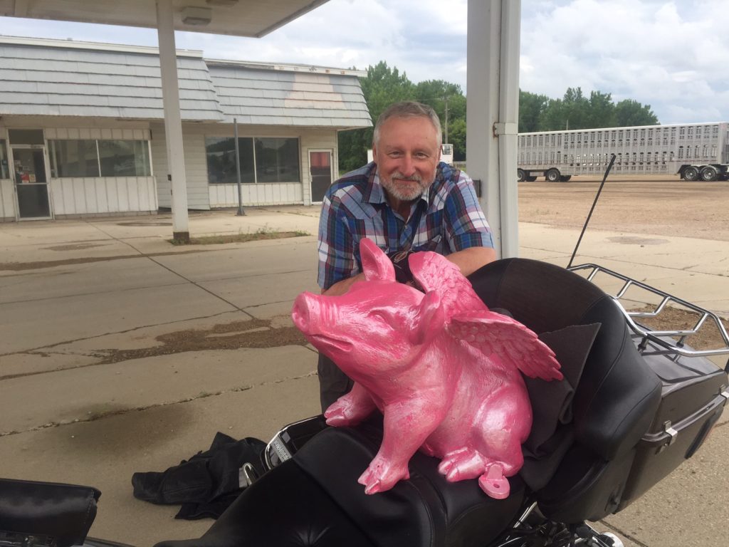 When Pigs Fly! - Scott D Gottschalk